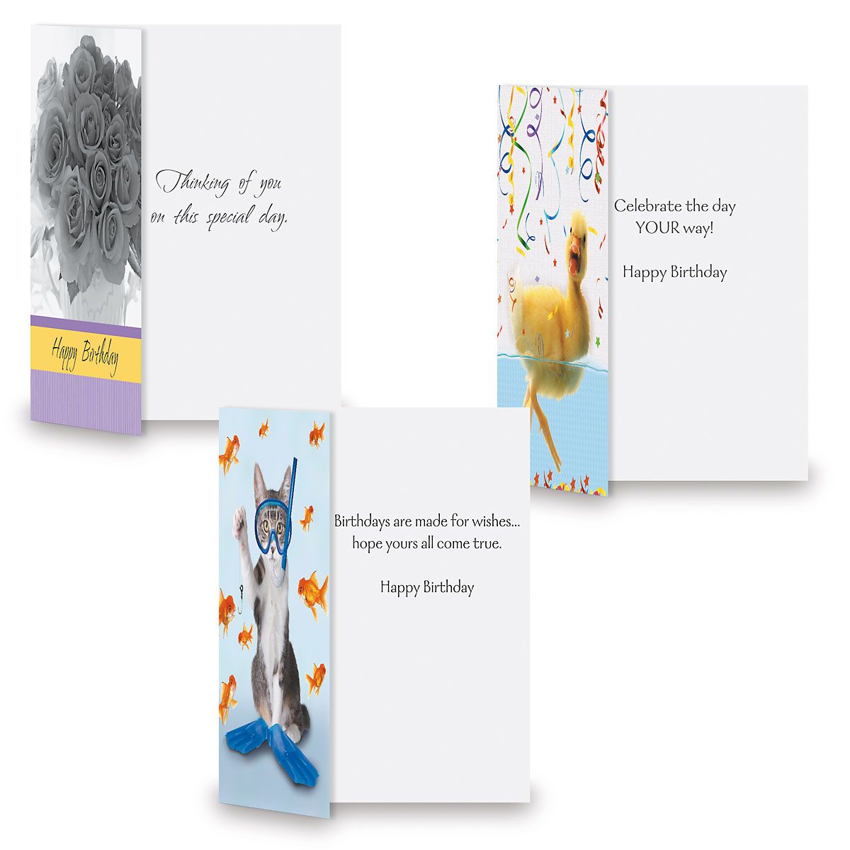 Mega Birthday Greeting Cards Value Pack | Current Catalog