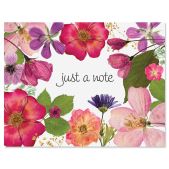 Cute & Pretty Note Cards & NoteCard Packs | Current Catalog