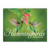 Wall Calendars | Current Catalog