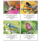 Animal Address Labels, Dog, Cat, Wildlife | Current Catalog