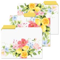 Decorative File Folders, Pretty, Colored, Fun | Current Catalog
