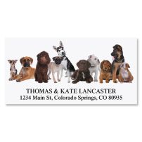 Animal Address Labels, Dog, Cat, Wildlife | Current Catalog