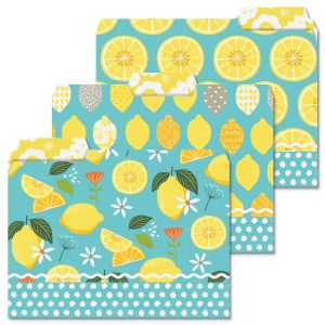 Decorative File Folders, Pretty, Colored, Fun | Current Catalog