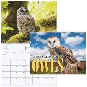 Wall Calendars | Current Catalog