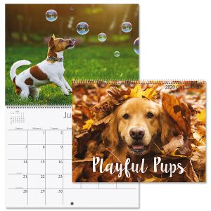 Wall Calendars | Current Catalog