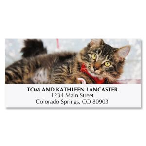 Address Label Designs, Plain to Pretty | Current Catalog