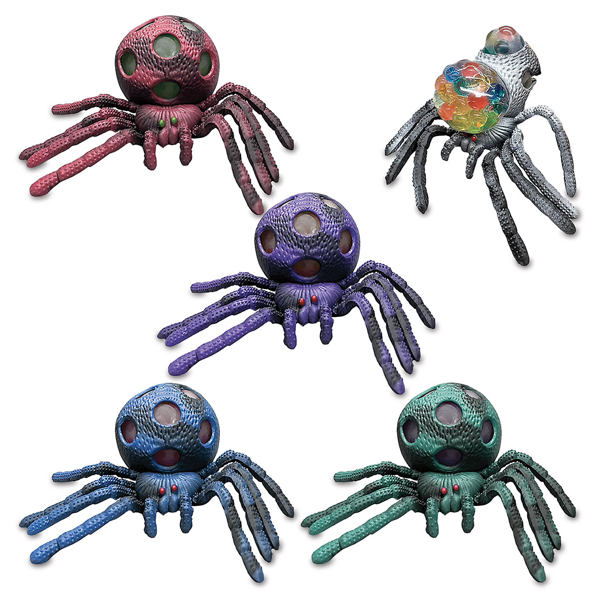 Squeeze Spider | Current Catalog