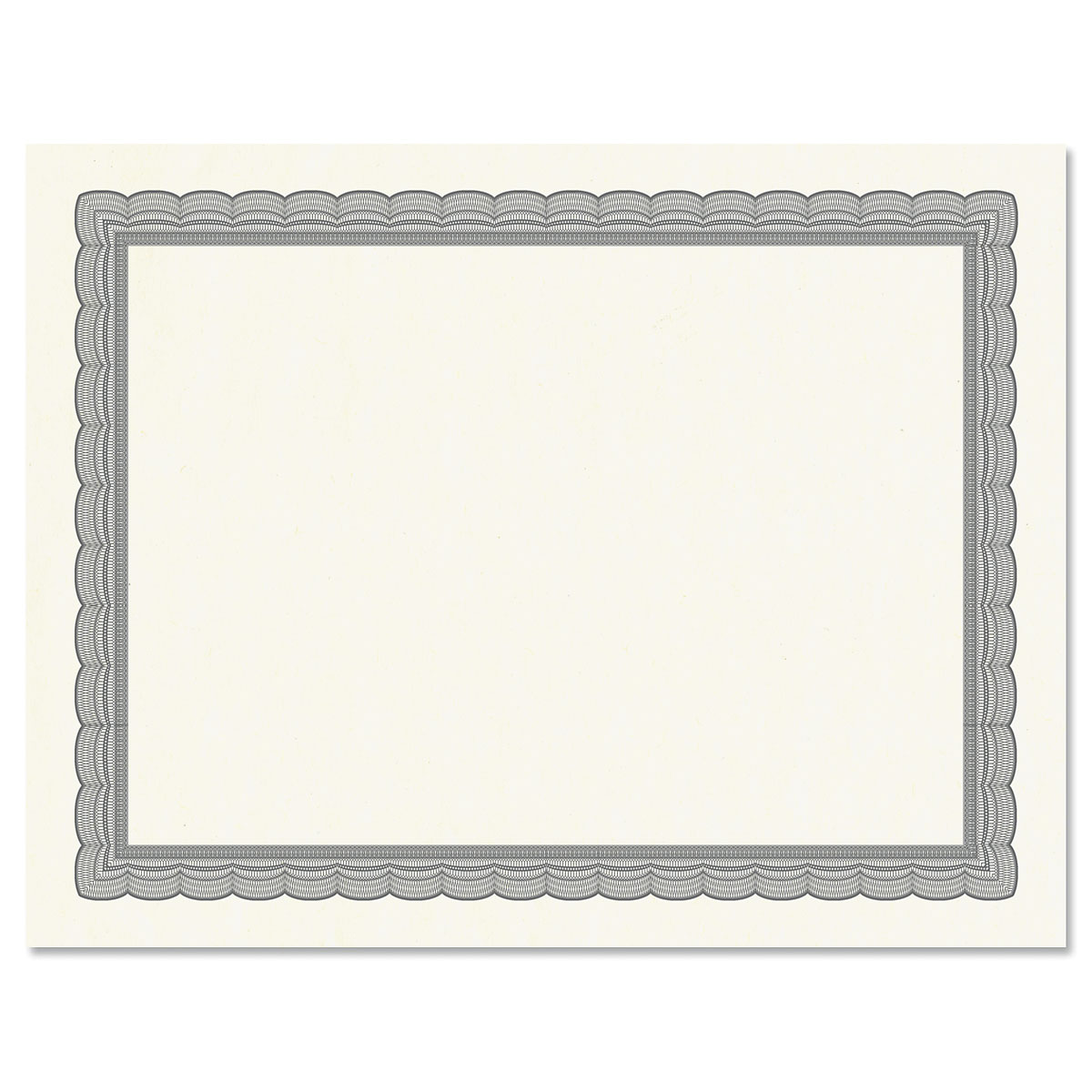 Executive Gray Certificate on White Parchment | Current Catalog