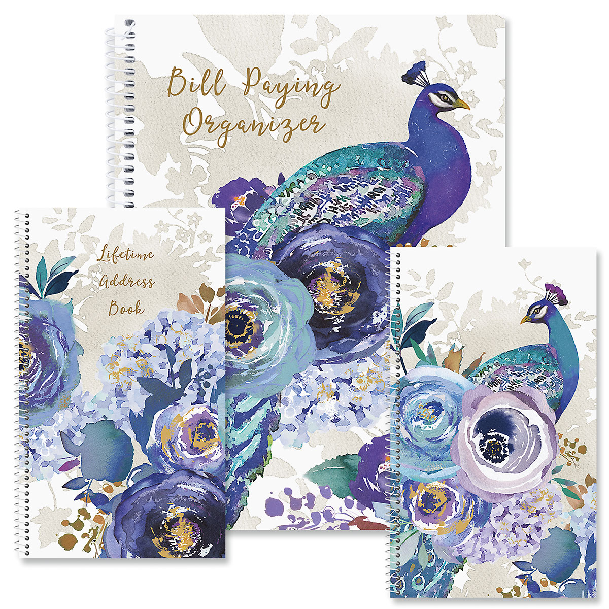 Blue Peacock Organizer Book | Current Catalog