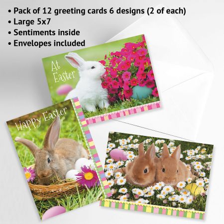 Photo Bunny Easter Cards | Current Catalog