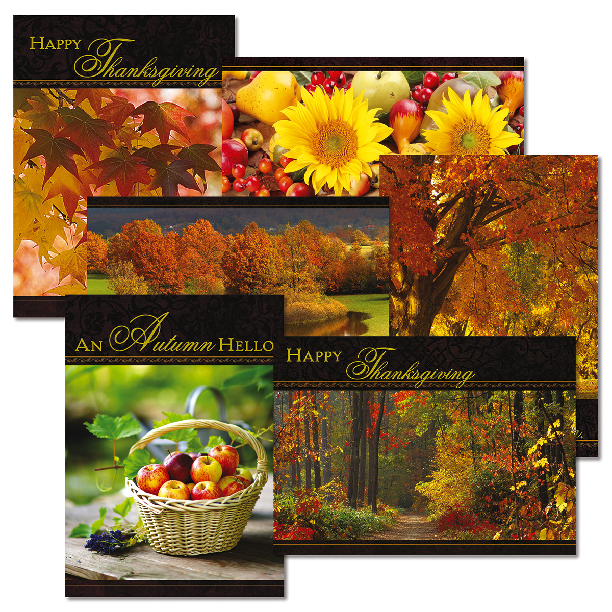 Elegant Thanksgiving Cards Value Pack | Current Catalog
