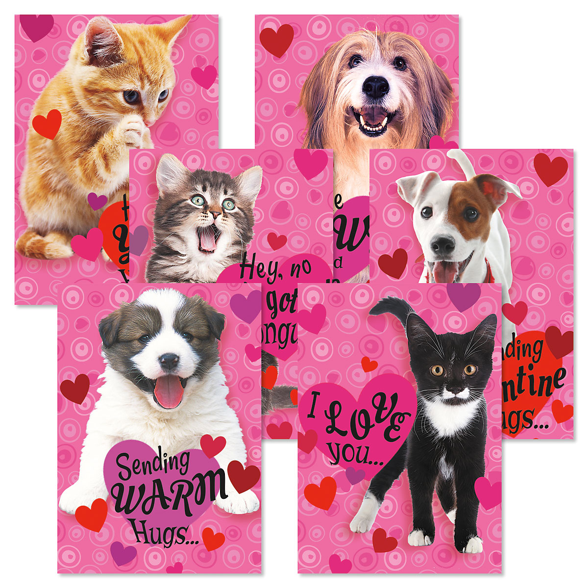 Puppies and Kittens Valentines Day Cards Value Pack | Current Catalog