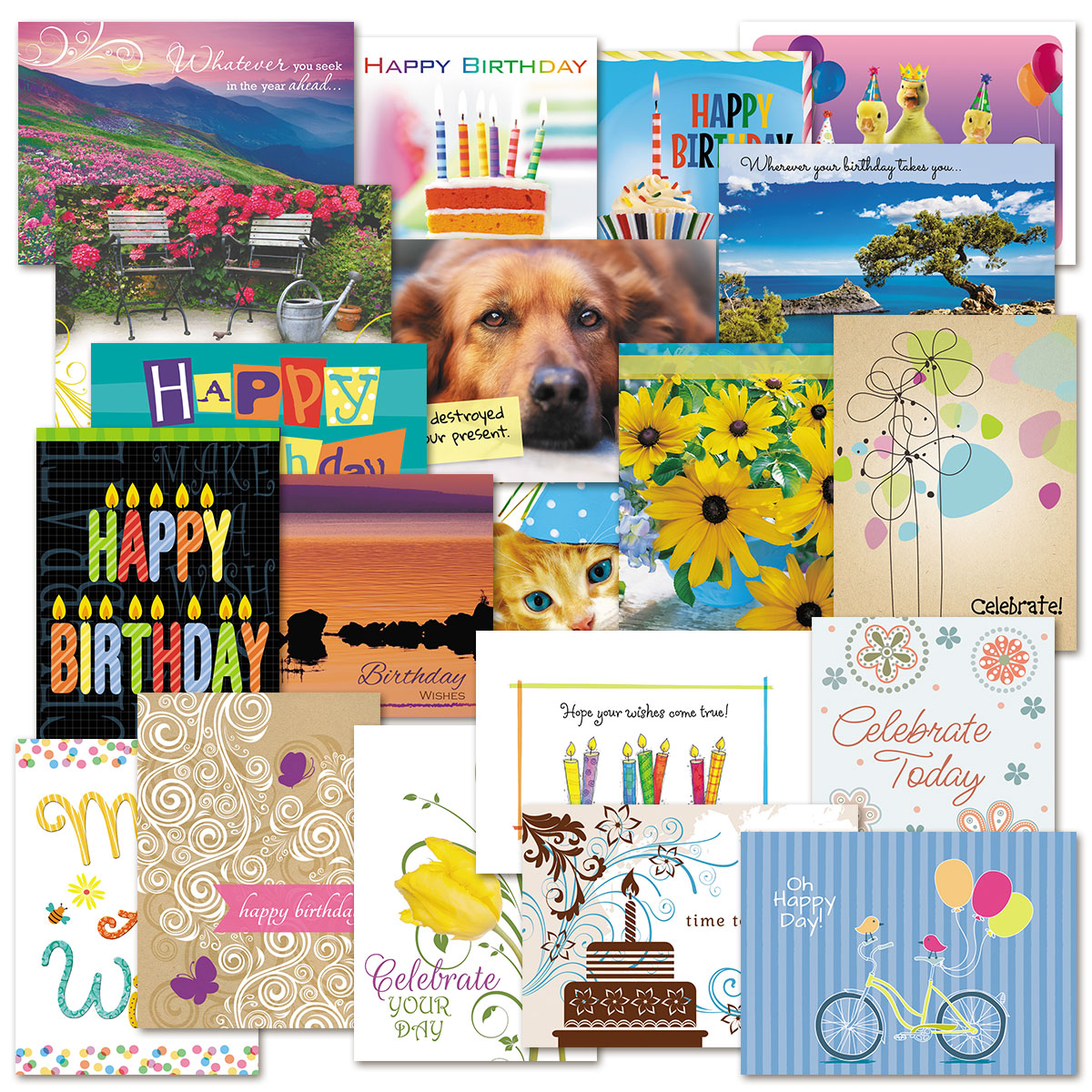 Mega Birthday Greeting Cards Value Pack 614077 | Current Catalog