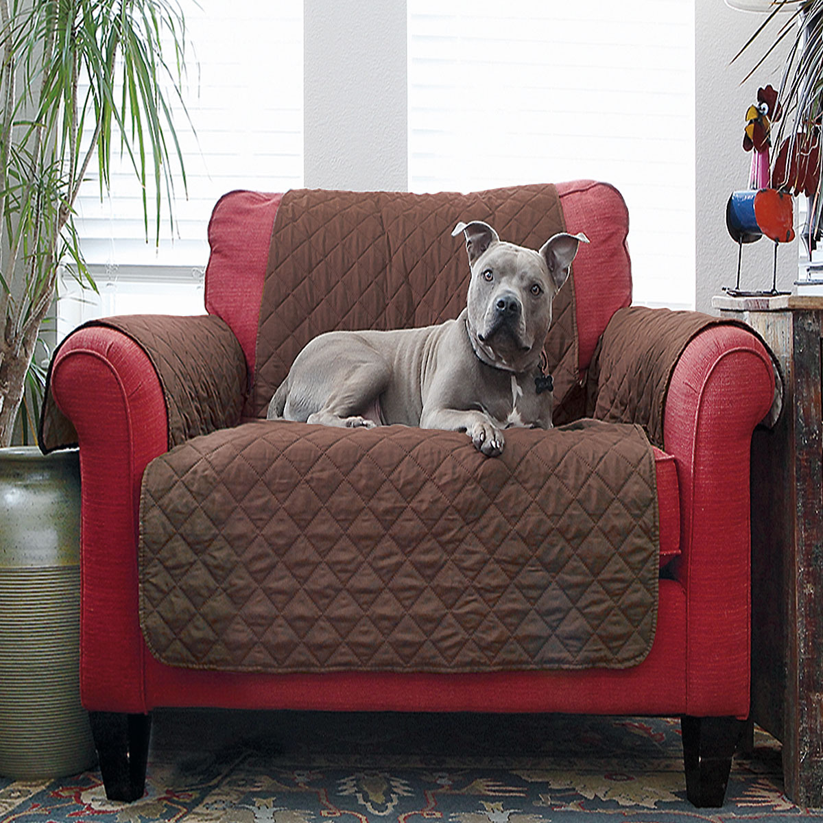 Chair Protector | Current Catalog