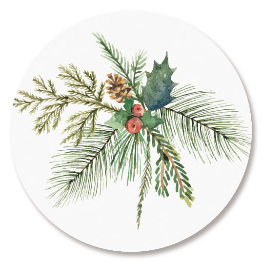 Bring Home the Tree Seals | Current Catalog