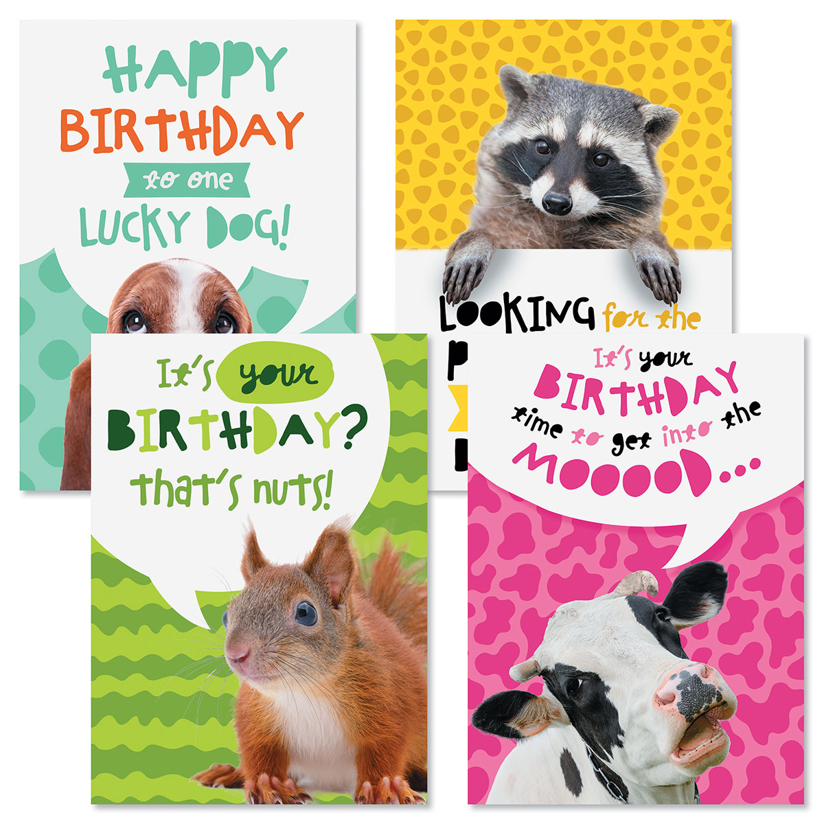 Critter Wishes Birthday Cards and Seals 621654-g | Current Catalog