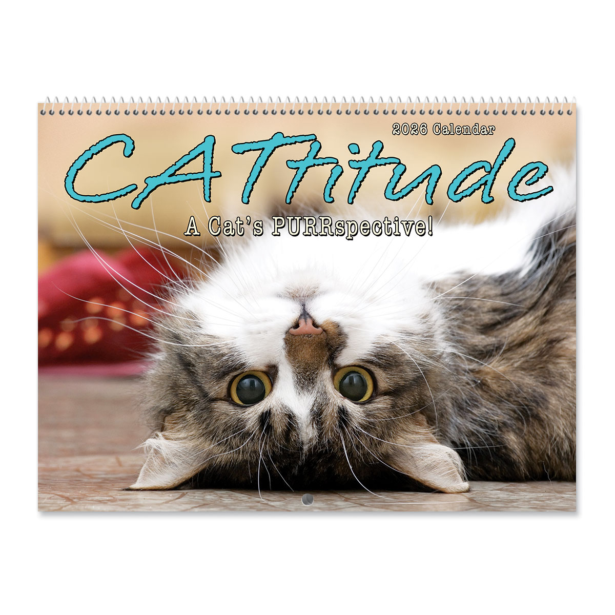2026 CATtitude Wall Calendar | Current Catalog