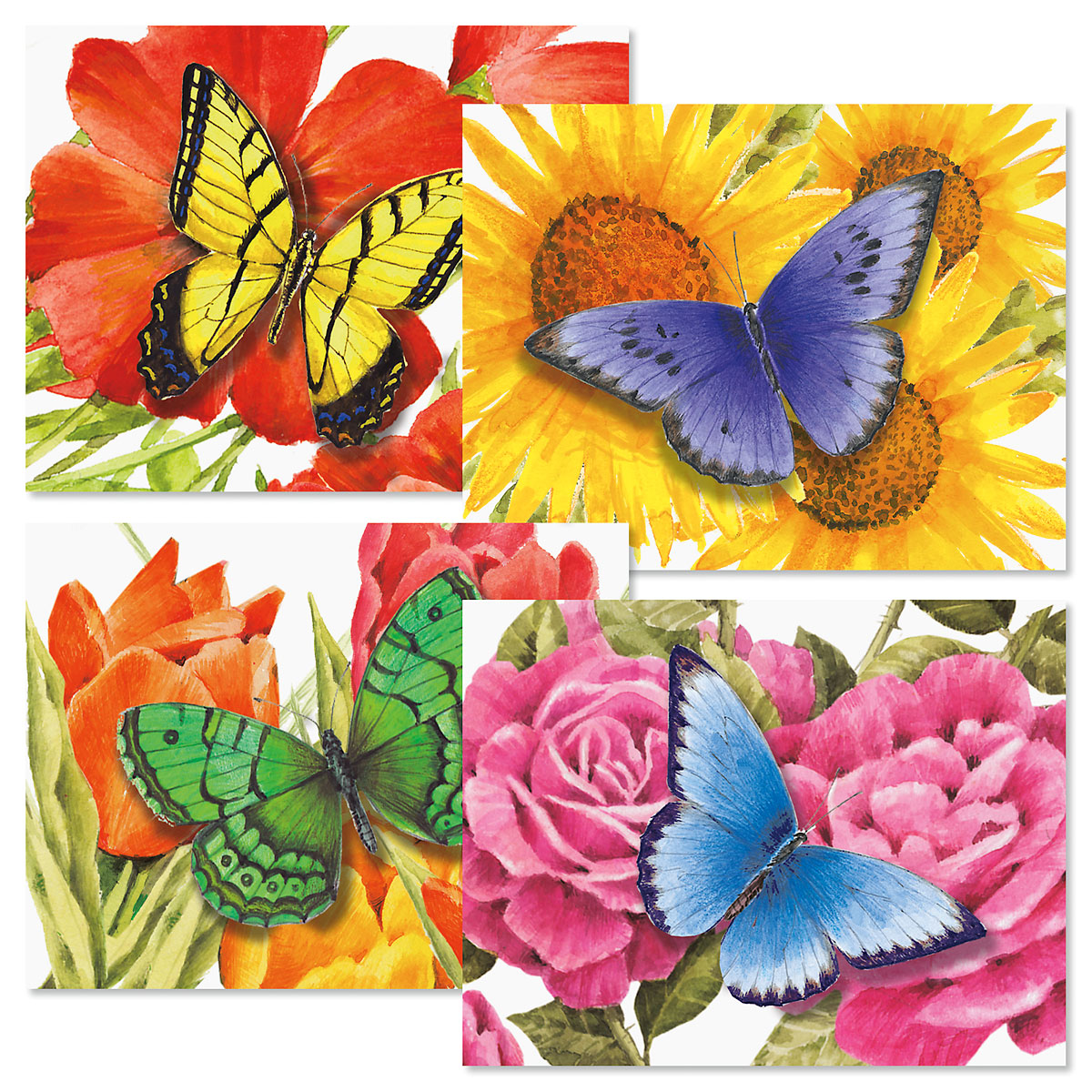 Pop-Up Butterfly Note Cards | Current Catalog
