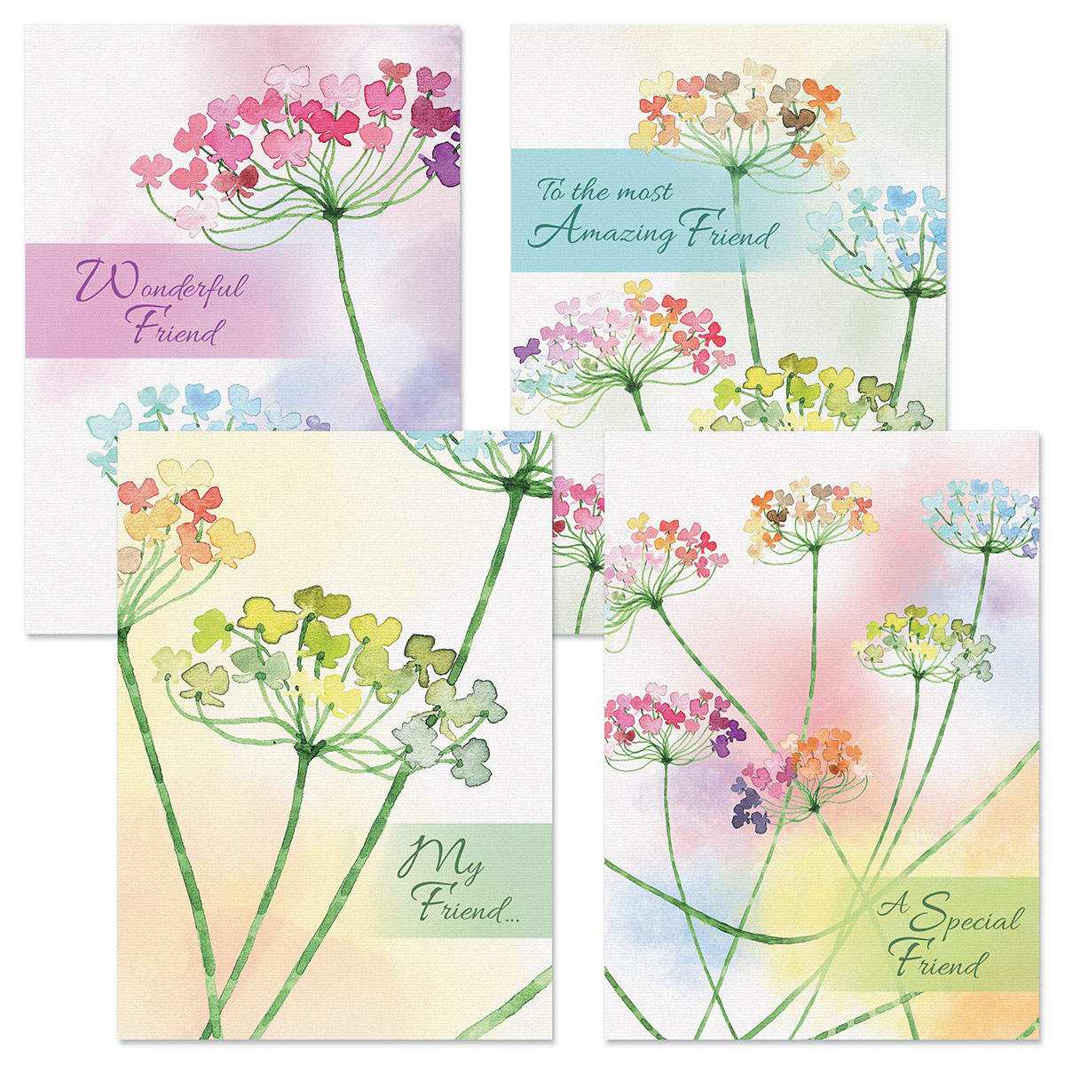 Special Blessings Friendship Cards | Current Catalog