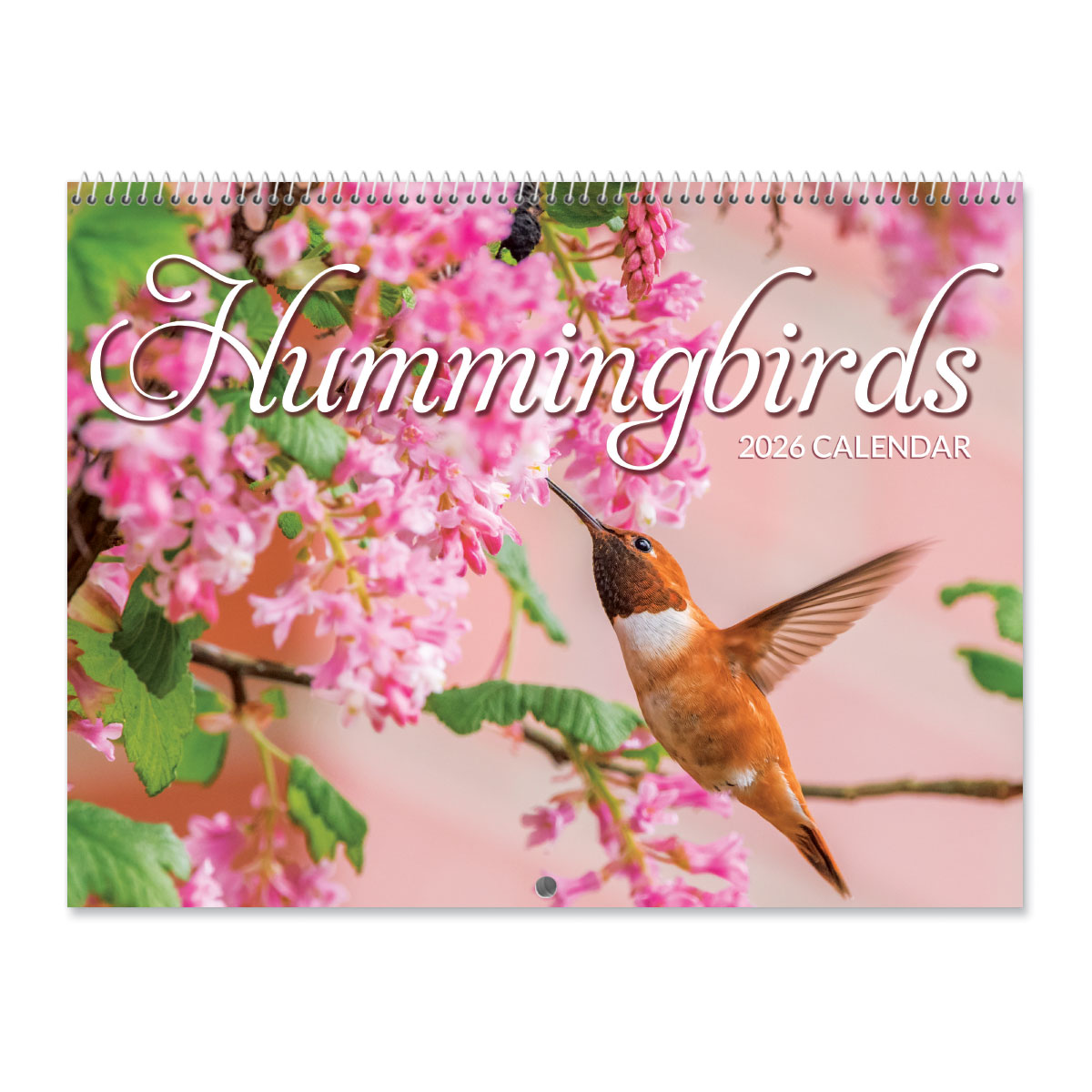 2026 Hummingbirds Wall Calendar | Current Catalog