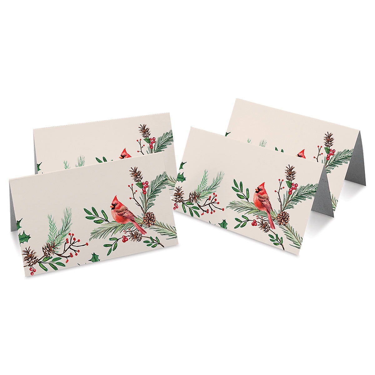 Holiday Cardinal Place Cards | Current Catalog