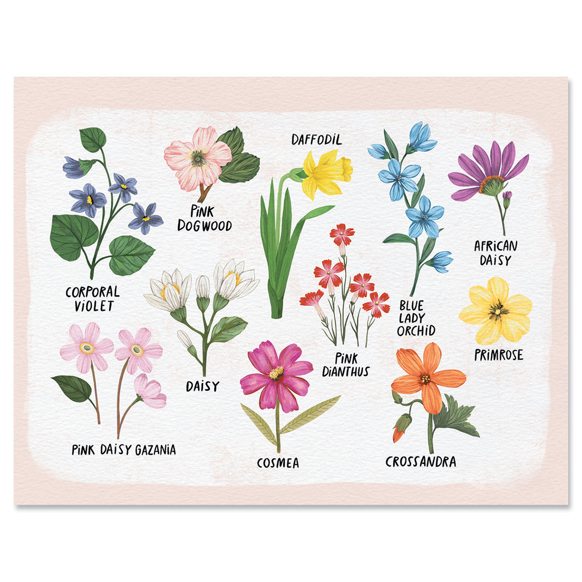 Floral Favorites Note Cards | Current Catalog