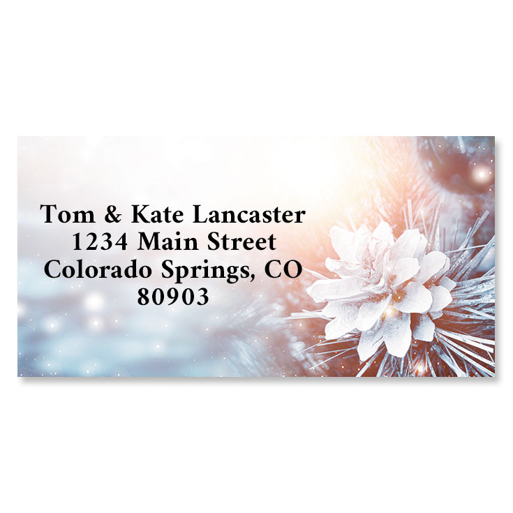 Evergreen Winter Border Address Labels | Current Catalog