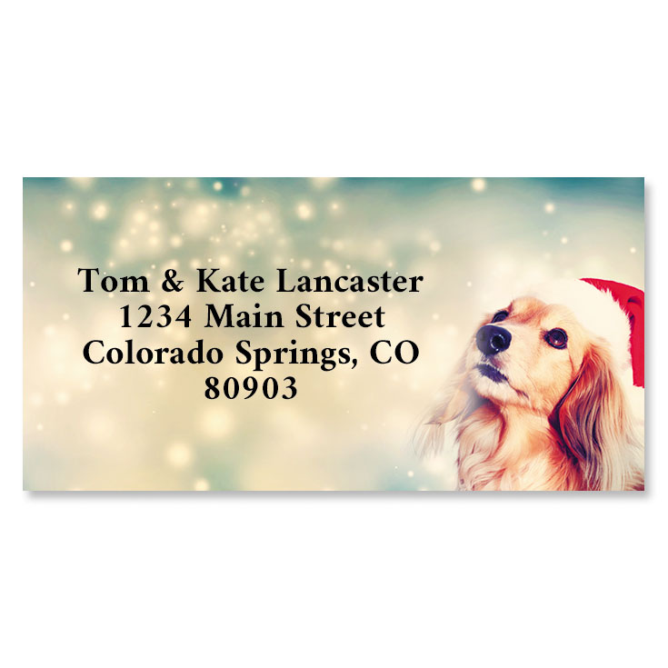 Golden Winter Border Address Labels | Current Catalog