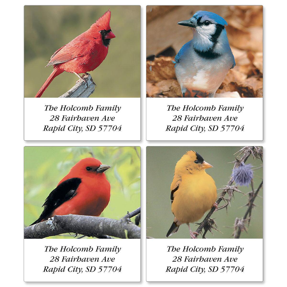 Beautiful Birds Address Labels | Current Catalog