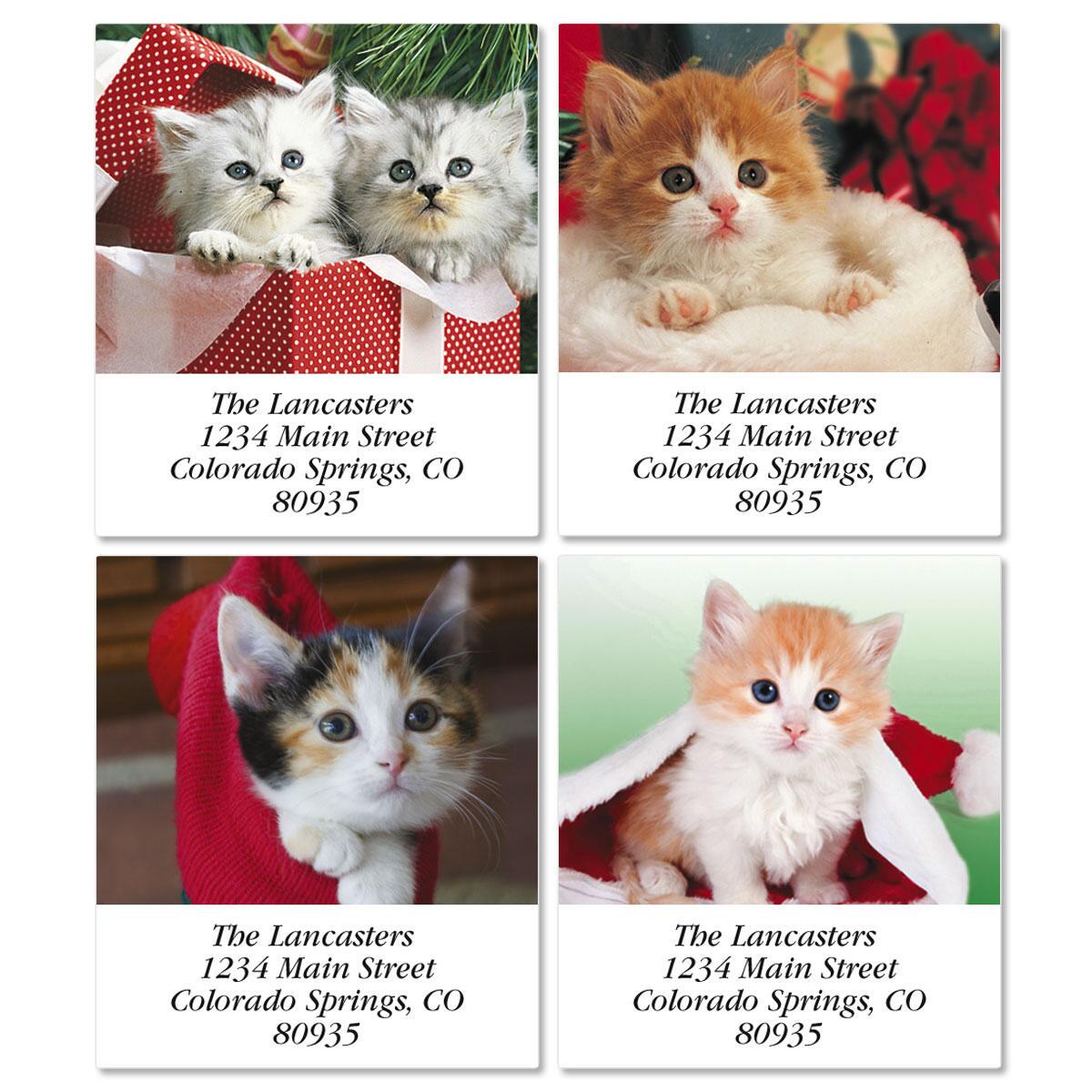 Christmas Cats Address Labels | Current Catalog