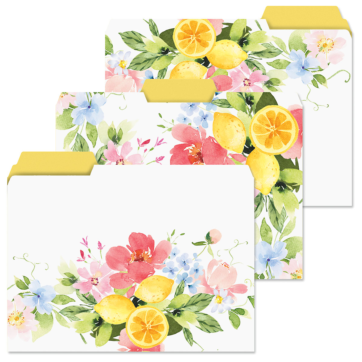 Summer Citrus File Folders | Current Catalog