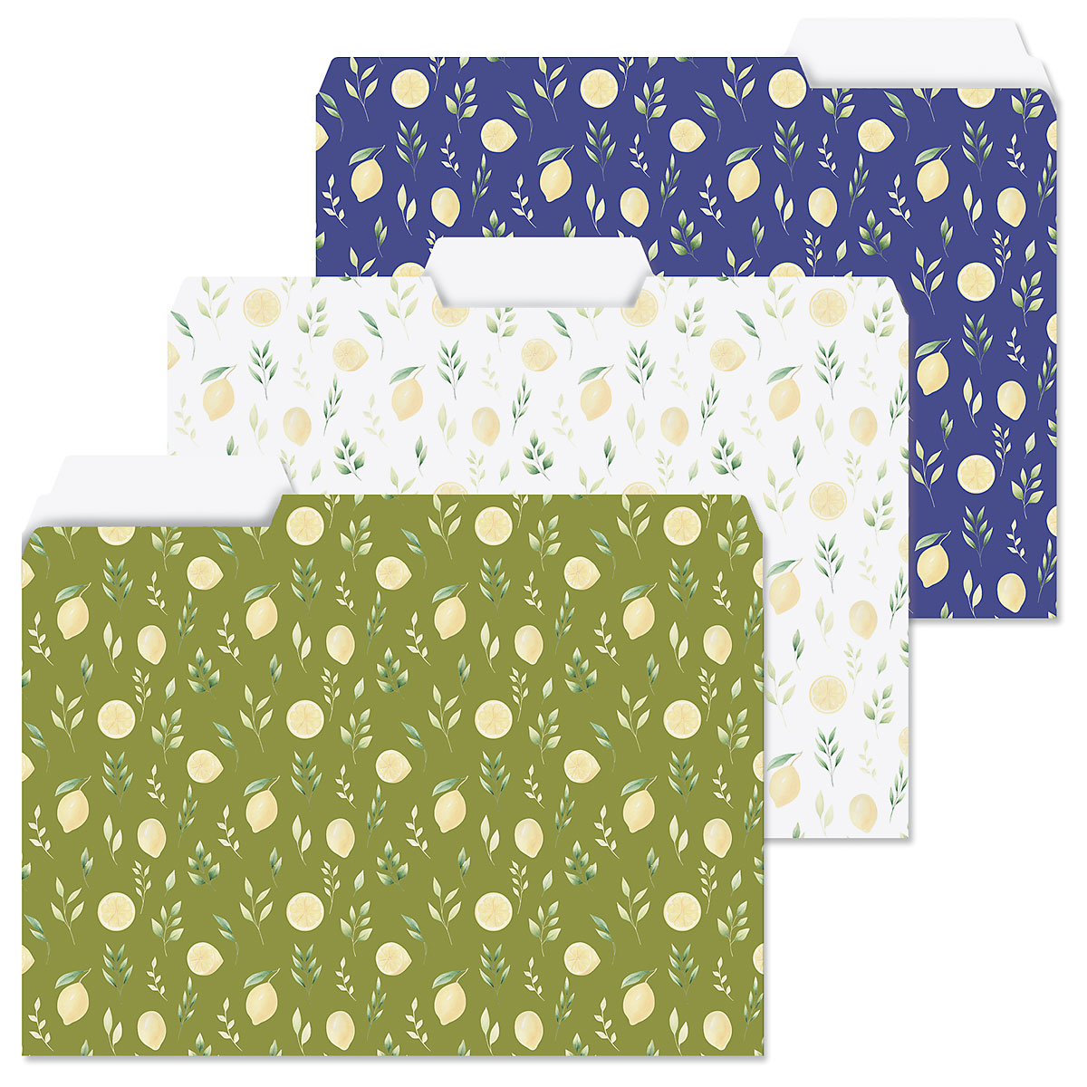 Citrus Field File Folders | Current Catalog