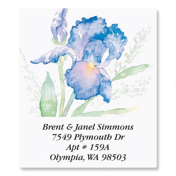 Iris Select Address Labels | Current Catalog