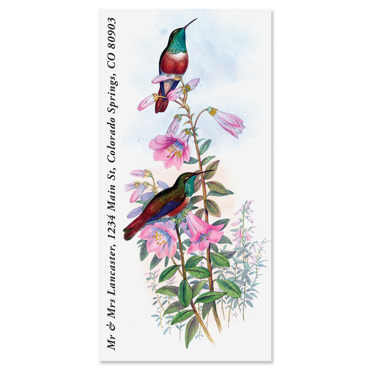 Blue-Throated Hummingbird Oversized Address Labels | Current Catalog