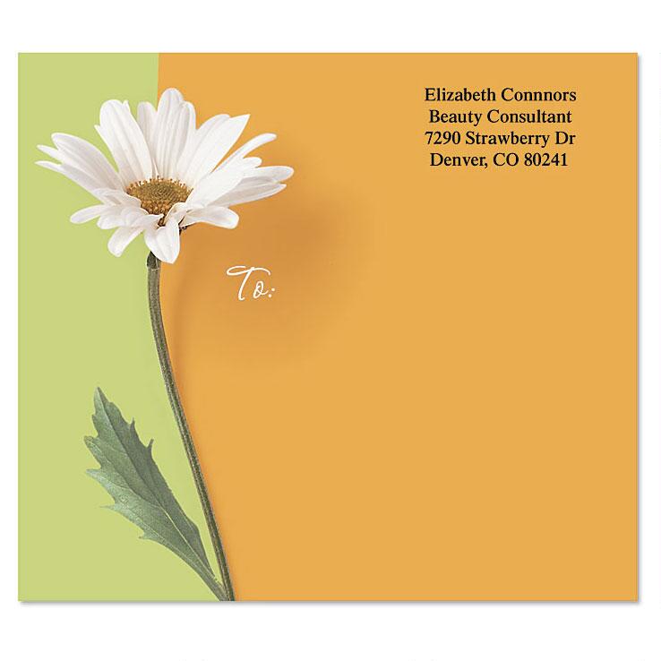 Portraits Of Spring Mailing Package Label | Current Catalog