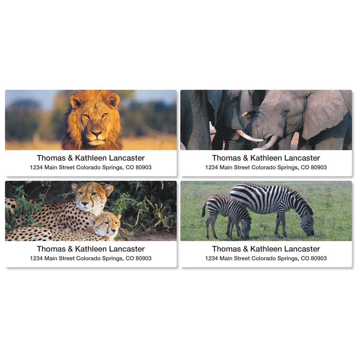 Wildlife of Africa Address Labels | Current Catalog