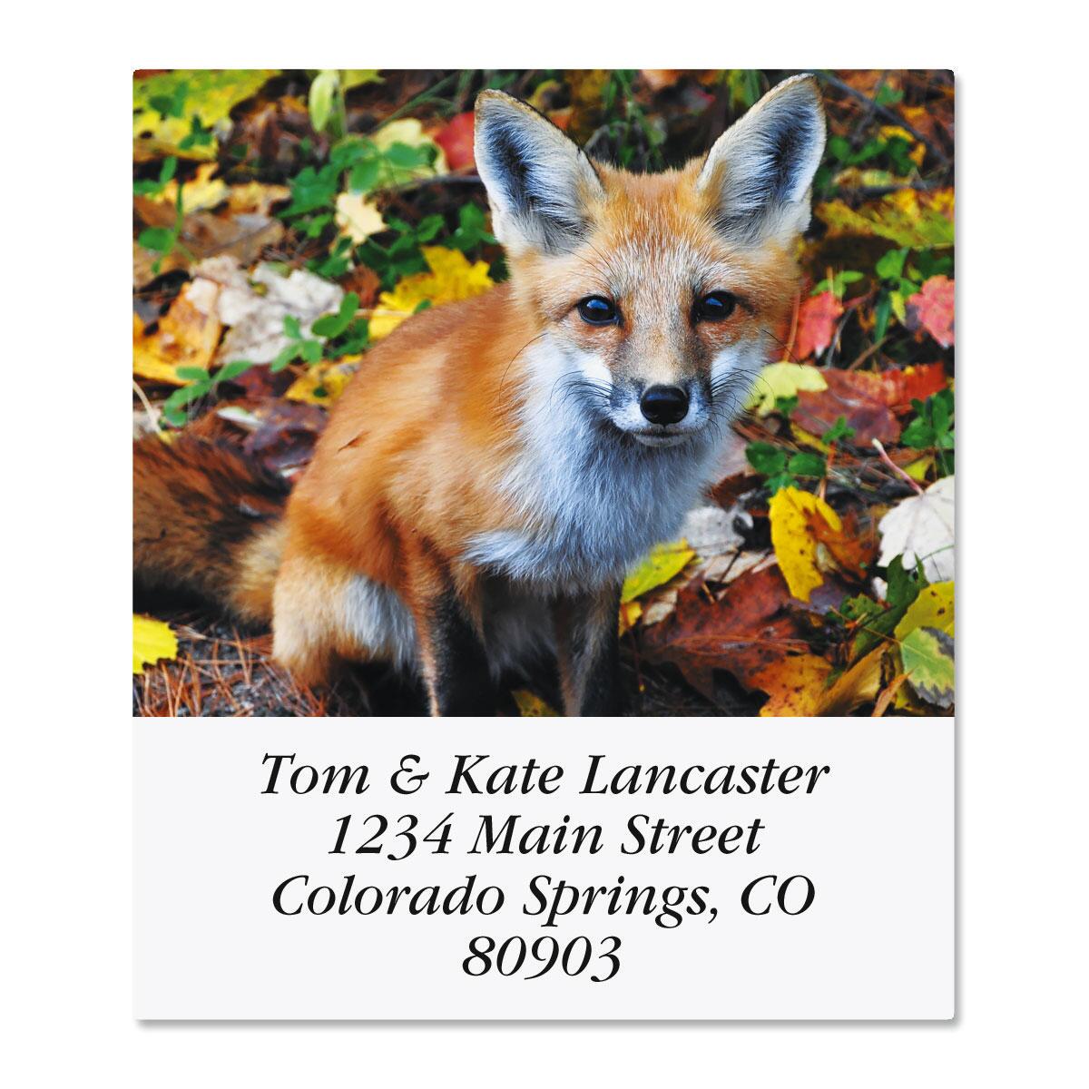 Woodland Animals Select Address Labels | Current Catalog