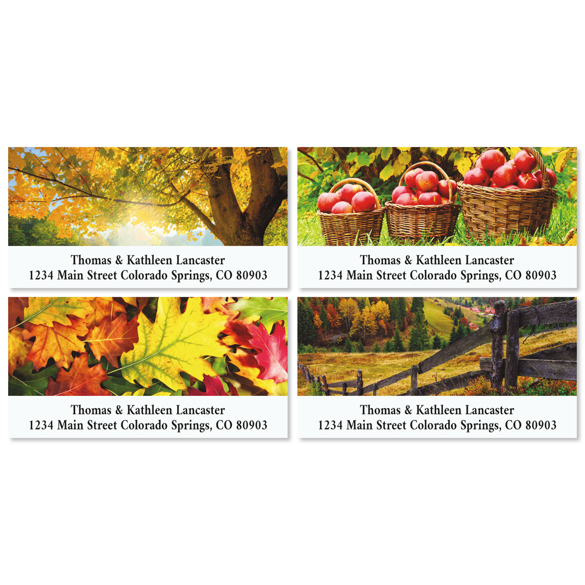 Autumn Deluxe Address Labels (4 Designs) | Current Catalog