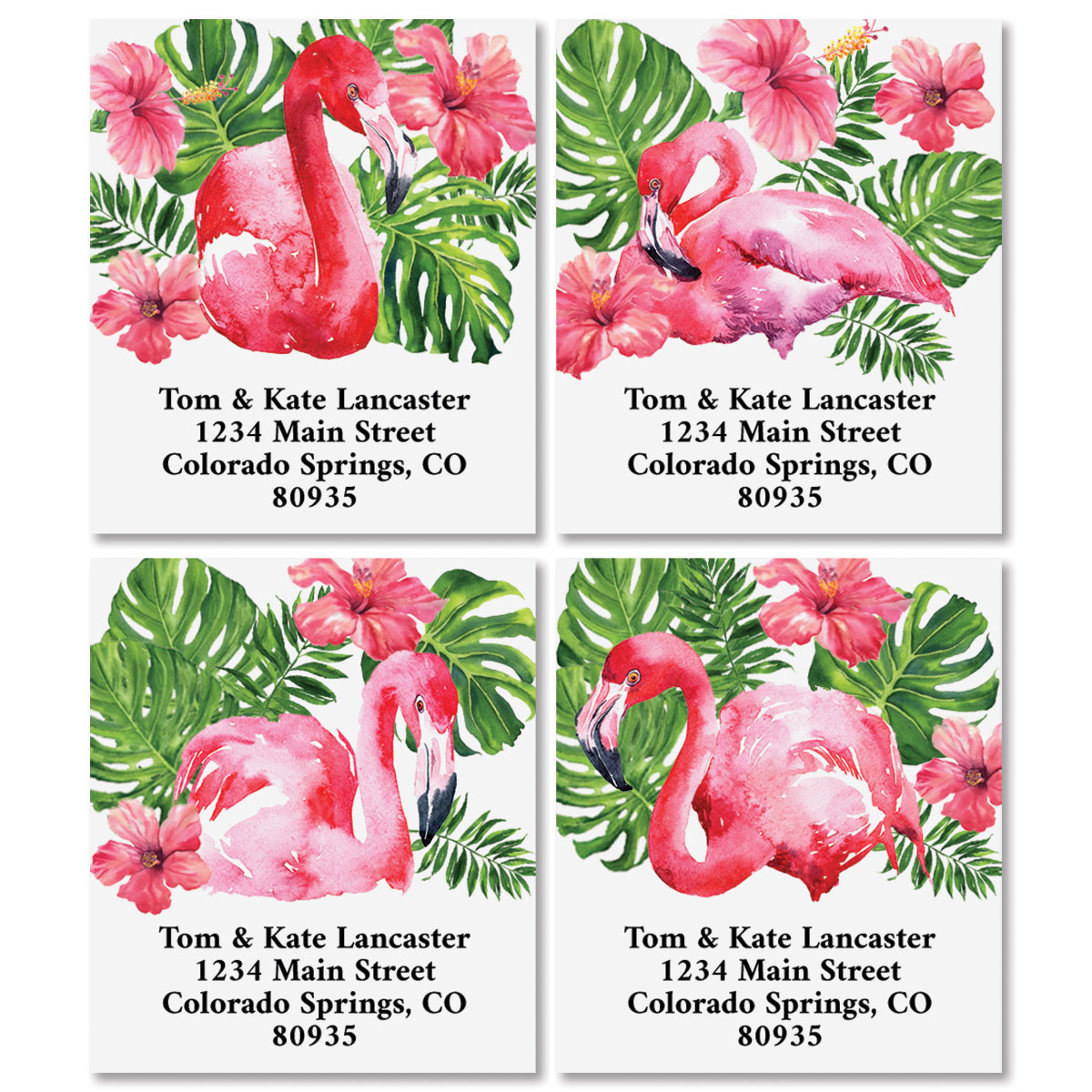 Tropical Flamingos Select Address Labels (4 Designs) | Current Catalog
