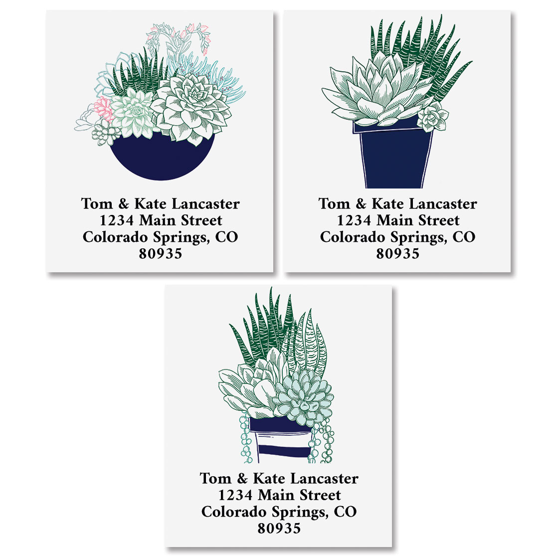 Succulents Select Address Labels (3 Designs) | Current Catalog