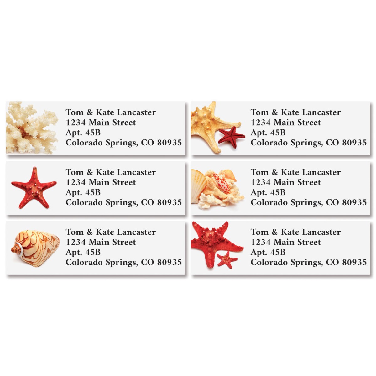 Sea Stars & Shells Classic Address Labels (6 Designs) | Current Catalog