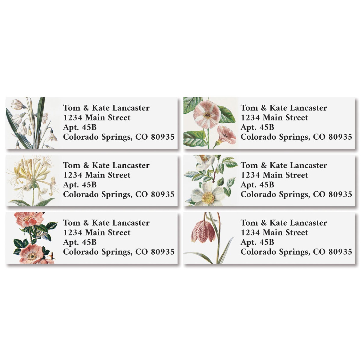 Antique Botanical Classic Address Labels (6 Designs) | Current Catalog