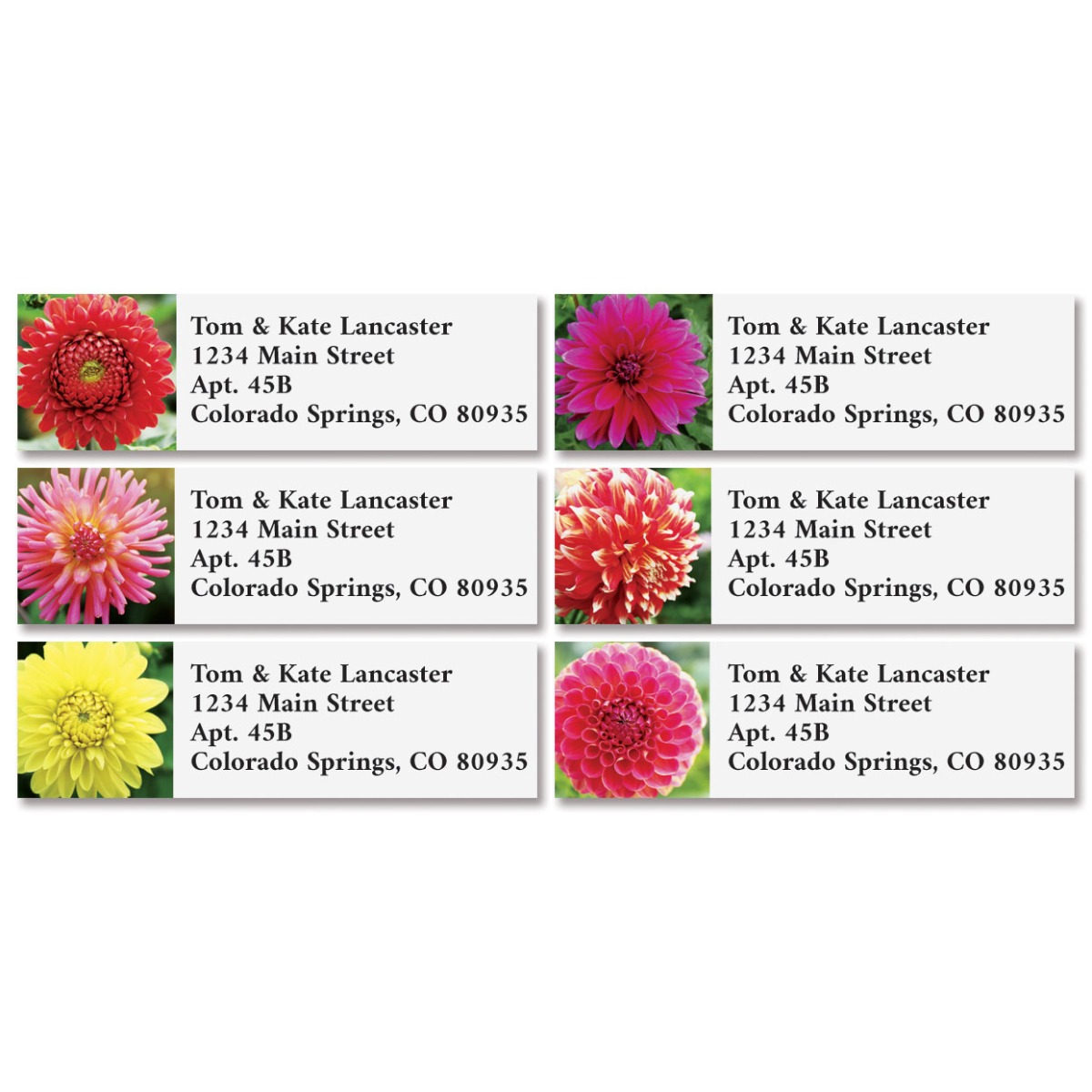 Dahlias Classic Address Labels (6 Designs) | Current Catalog