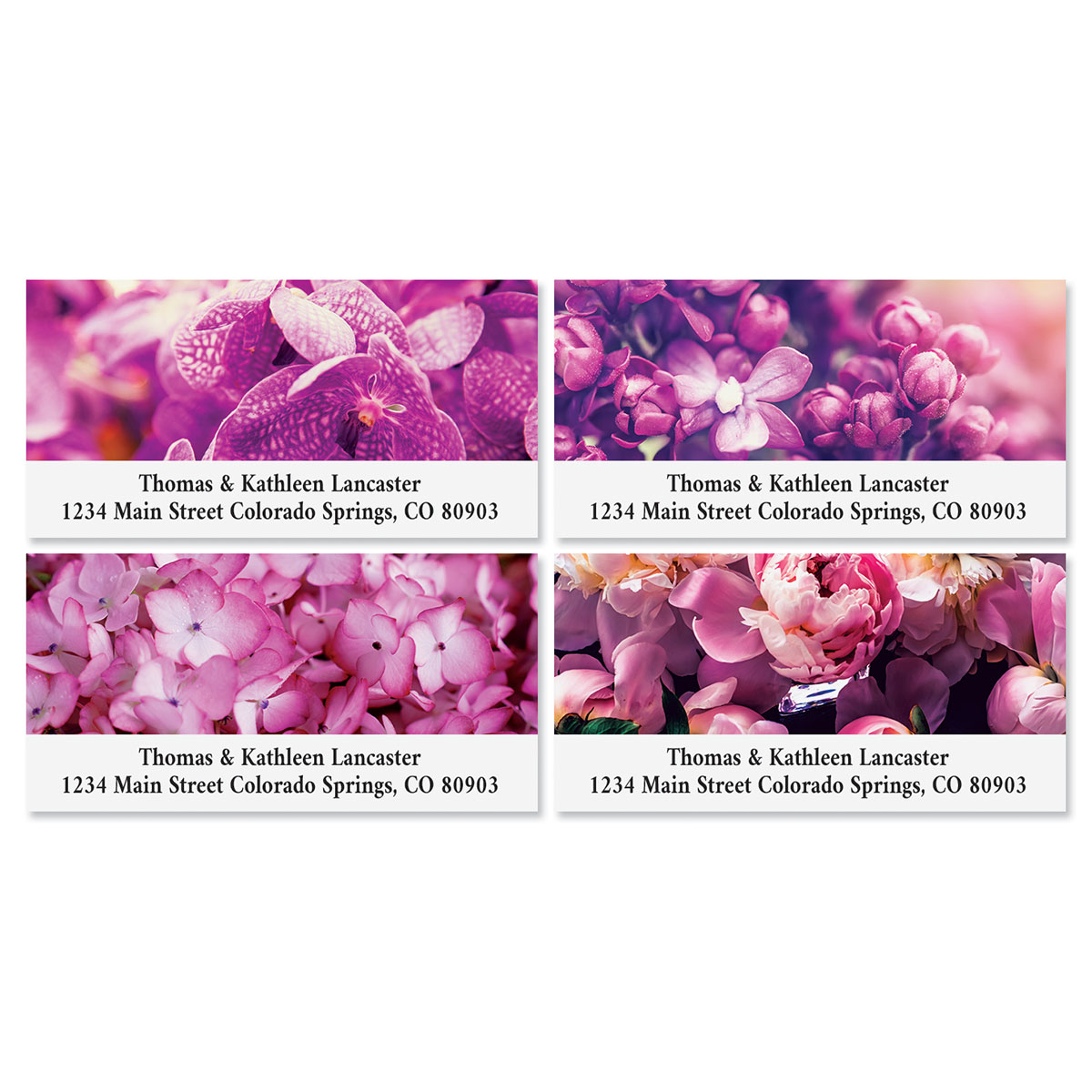 Draped in Purple Deluxe Address Labels (4 Designs) | Current Catalog
