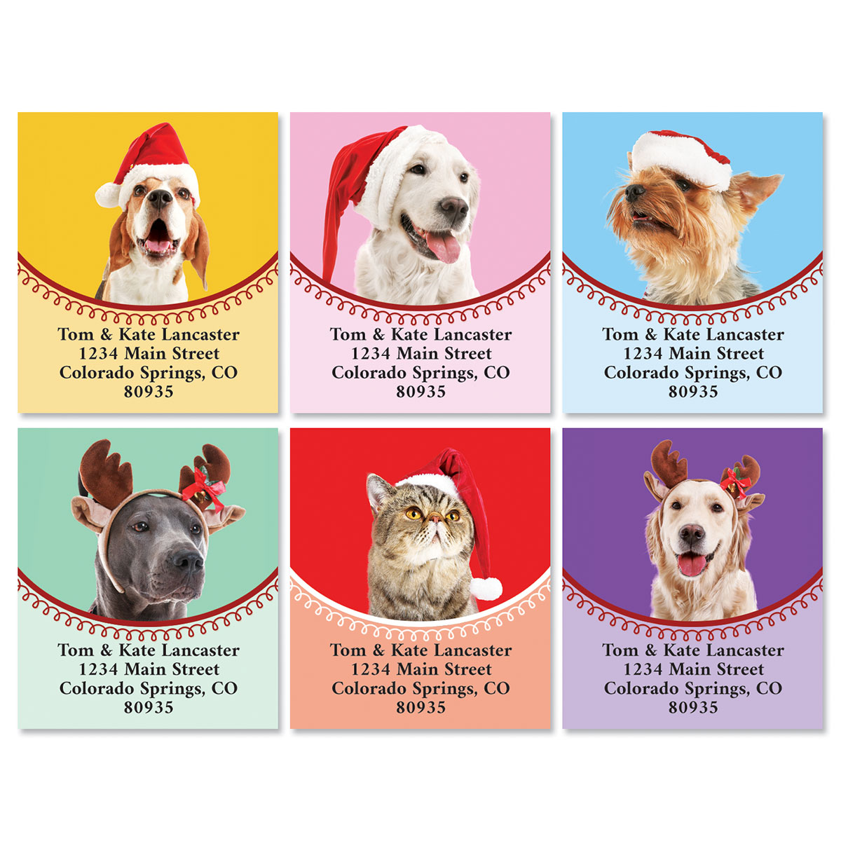 Festive Pets Select Address Labels (6 Designs) | Current Catalog