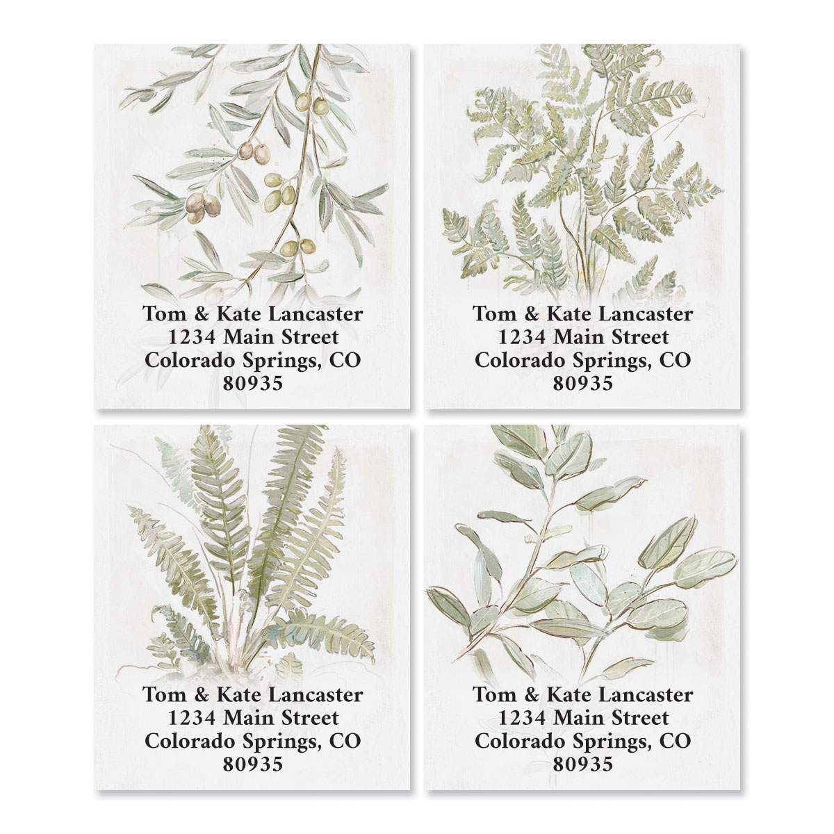 Elevated Botanicals Select Address Labels (4 Designs) | Current Catalog