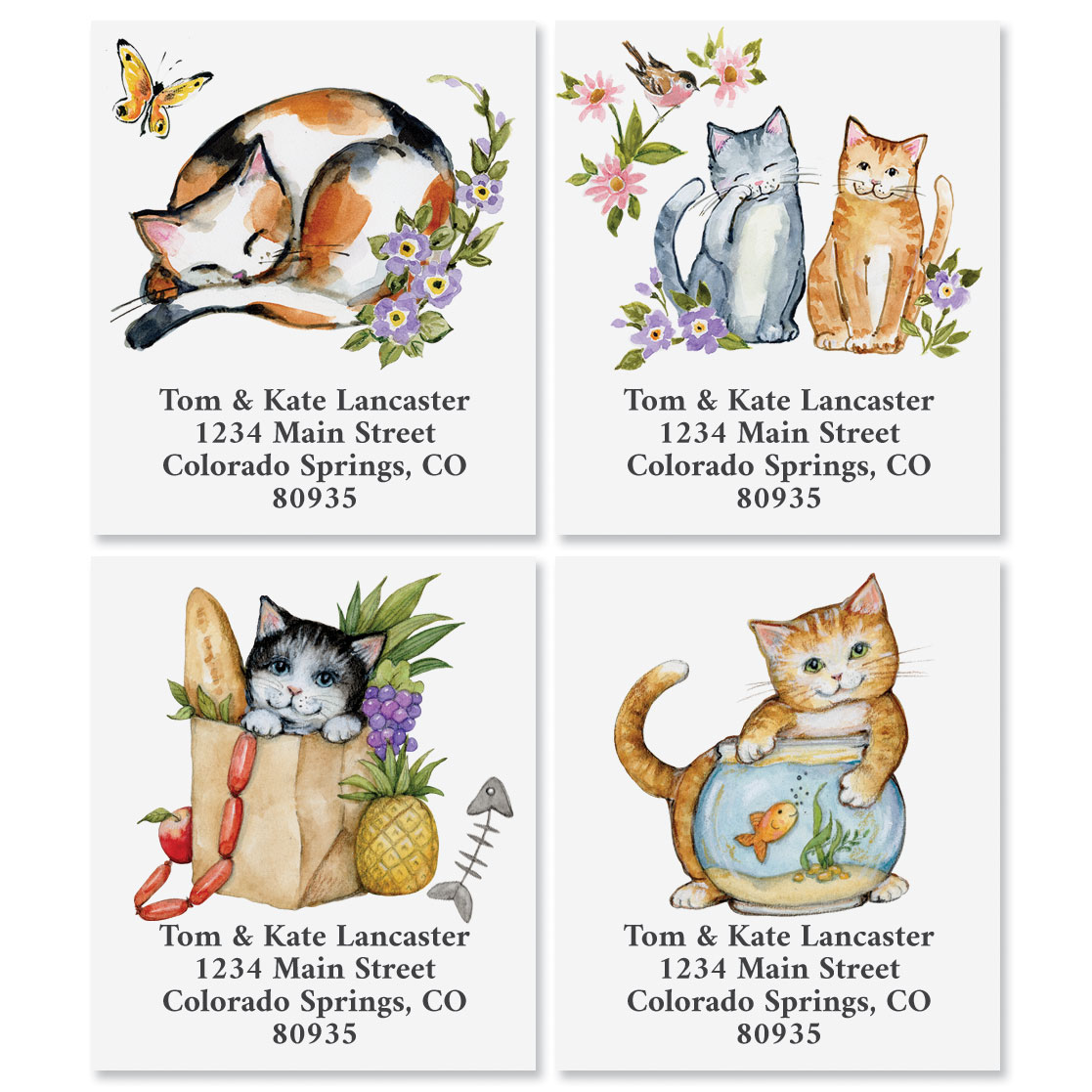 Curious Kittens Select Address Labels (8 Designs) | Current Catalog