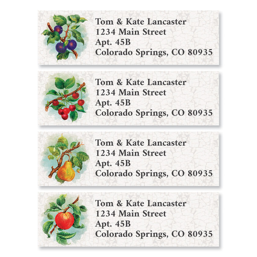 Retro Fruit Classic Address Labels (4 Designs) | Current Catalog