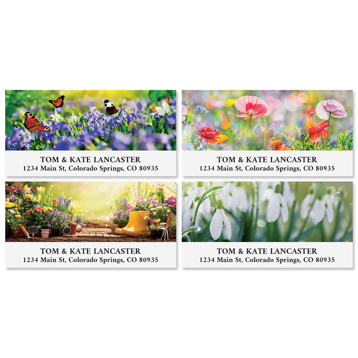 Nature Springs Deluxe Address Labels (6 Designs) | Current Catalog