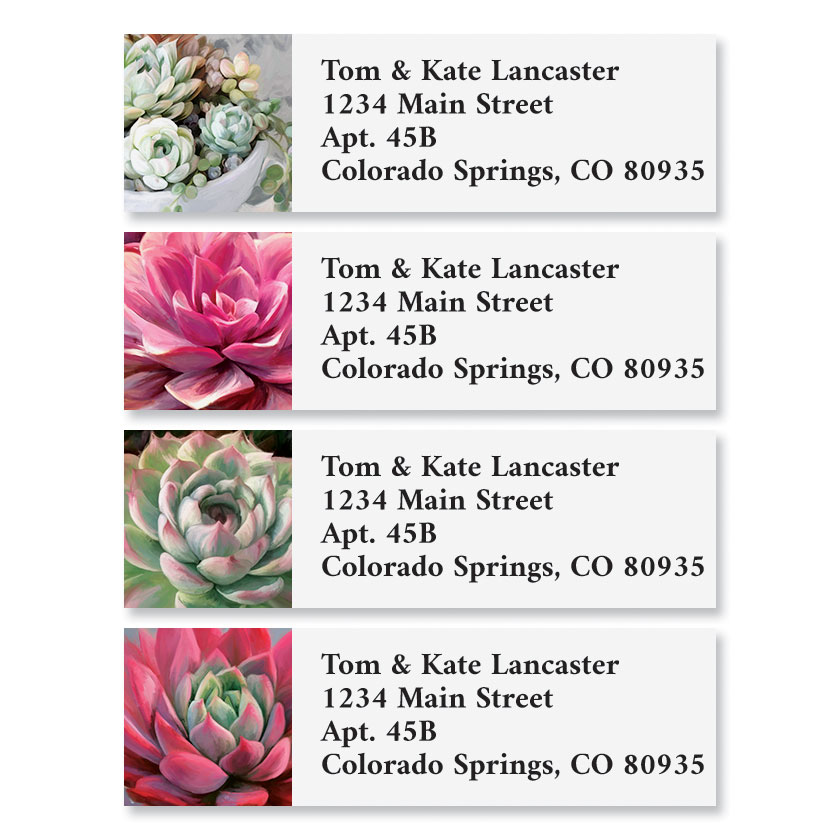 Succulent Colors Classic Address Labels (6 Designs) | Current Catalog